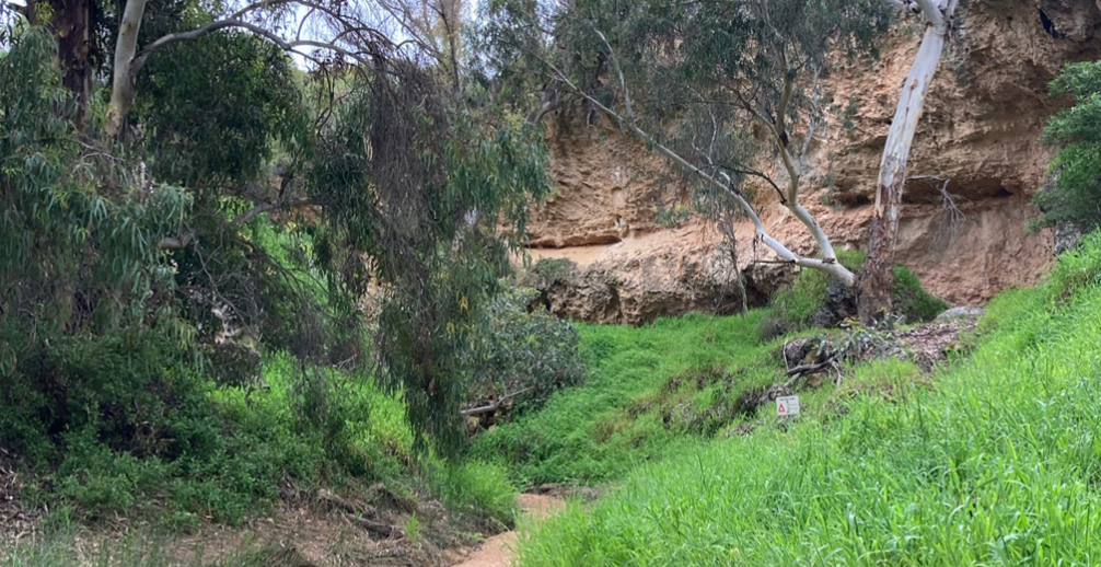 Latest News » Shire of Dandaragan